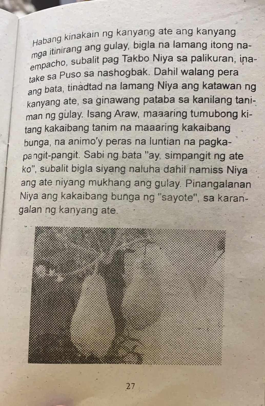 Alamat Ng Gulay Childrens Book Goes Viral For Its Sayote Story