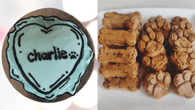 Where to order dog cakes and cat cakes for National Pet Day